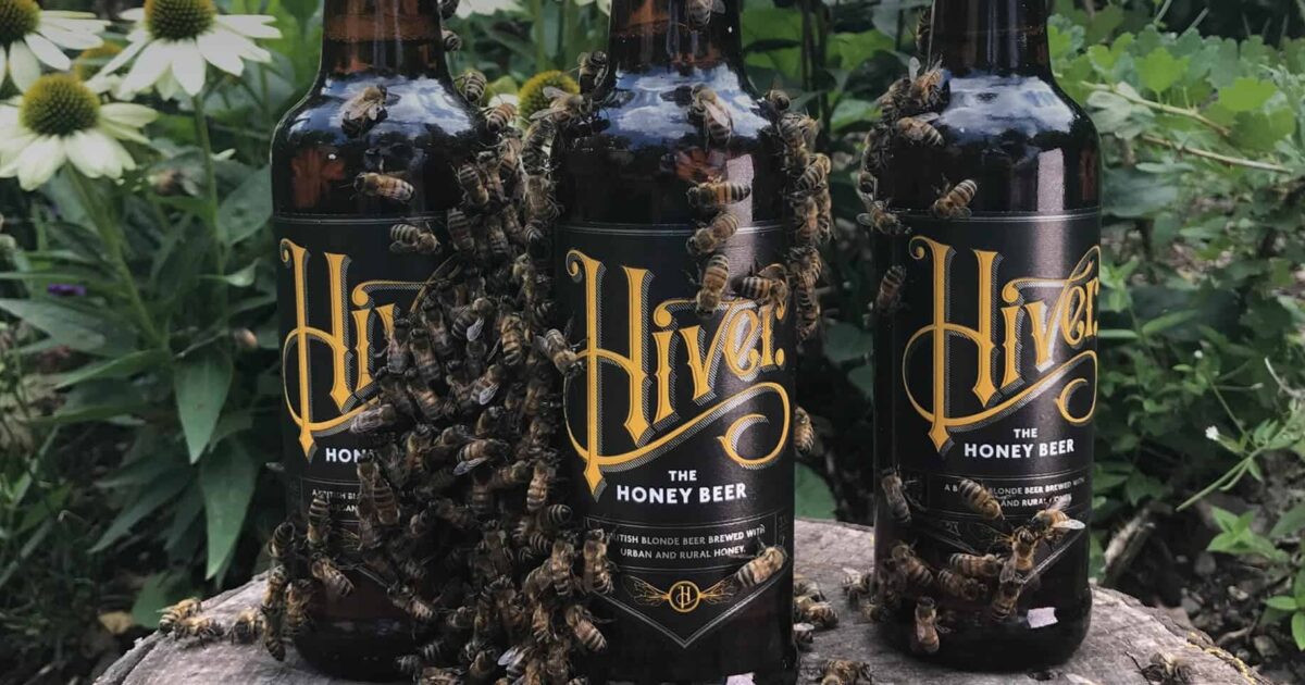 How you can save bees by drinking beer | Hall & Partners