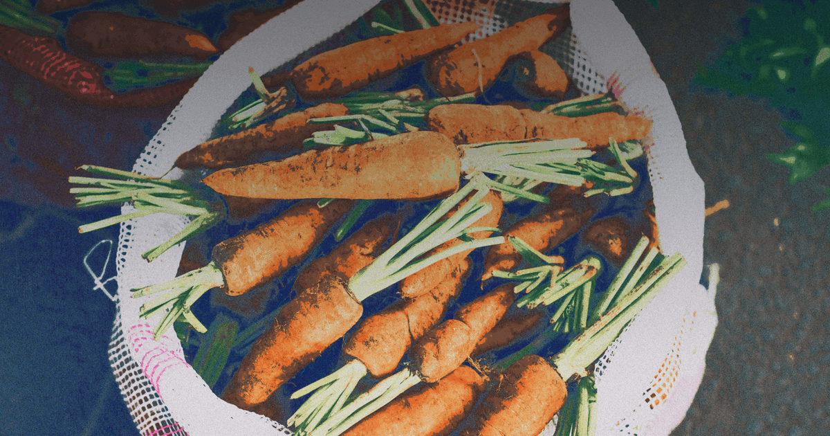 Why brands need to put health and sustainability before profit | Hall ...